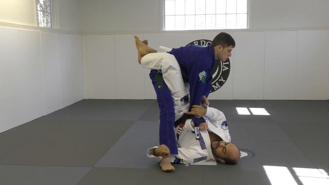 Foundations of Brazilian Jiu Jitsu Part 2