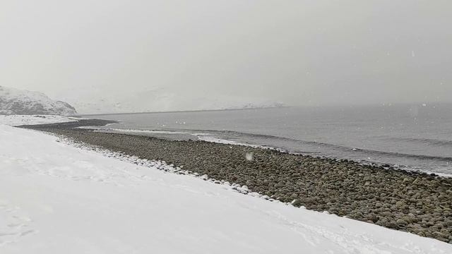 Пляж с камнями