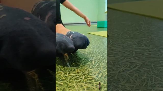 Урок классического танца / балет для детей / г. Ростов-на-Дону