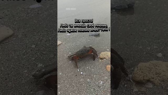 Задумалась 😉