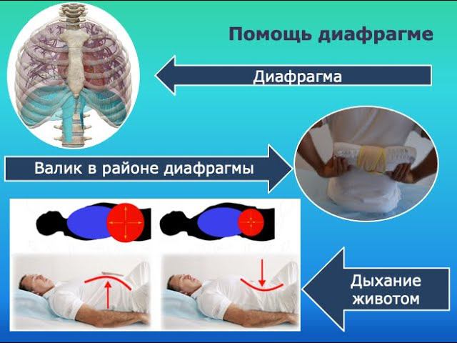 Помоги себе сам - помощь диафрагме (метод "23+5")