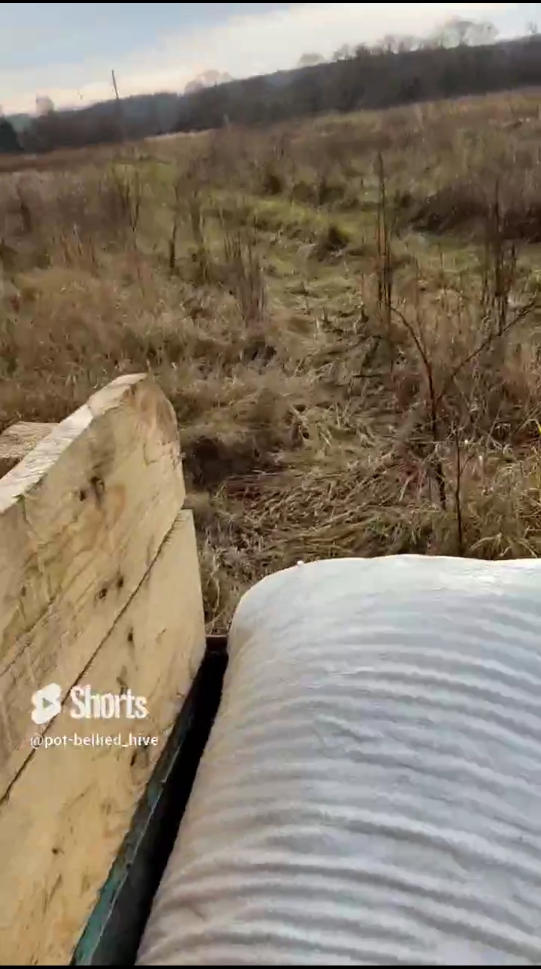 Едем! Let's go! #villagelife #деревня #village