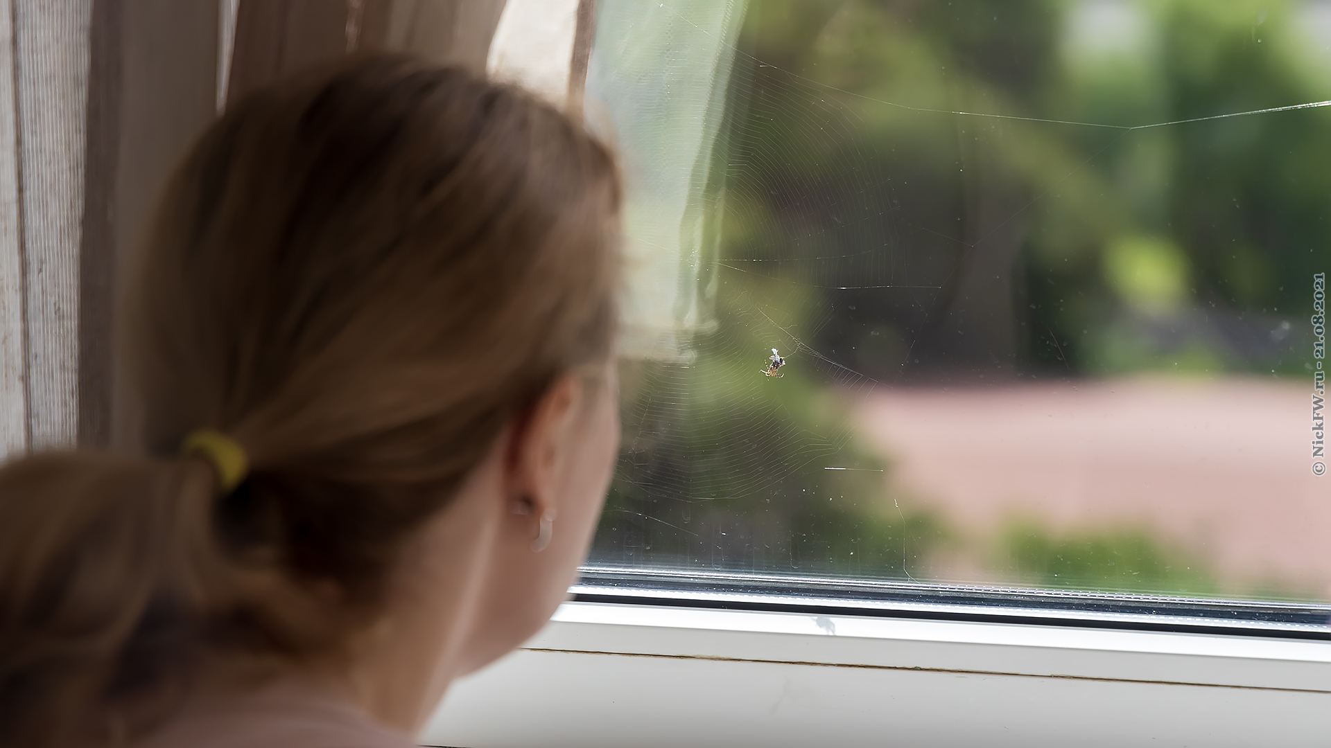 Паук и его жертва