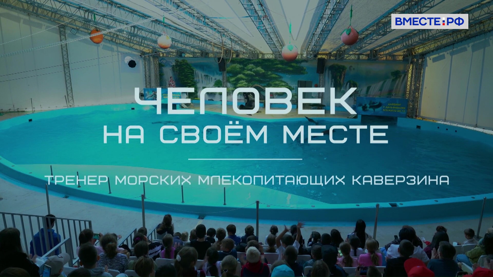 Тренер морских млекопитающих Каверзина. «Человек на своем месте»