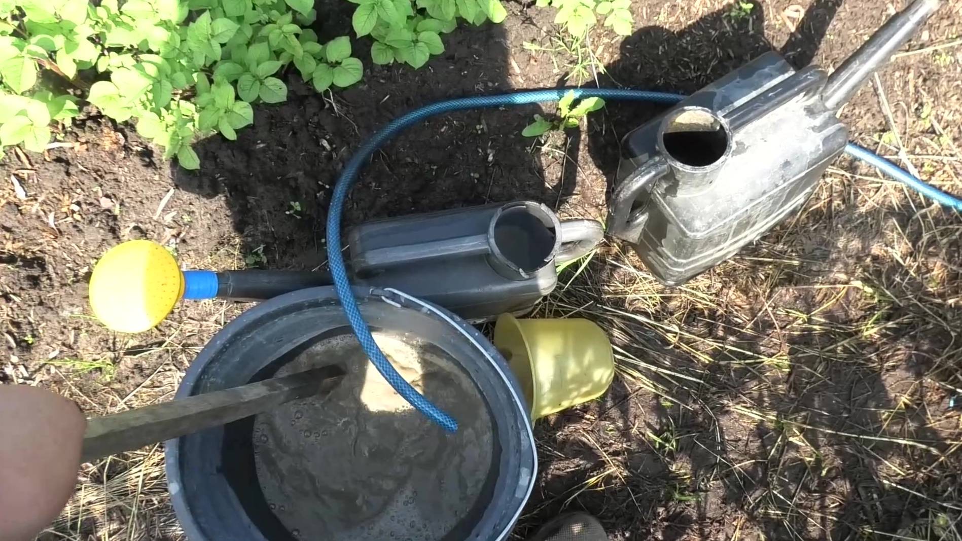 18-25 07 24г подкормка борофоской,отдых на Двине