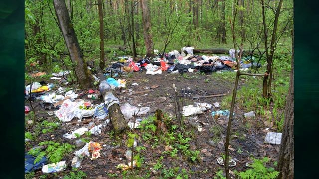 "Леса и человек", Окружающий мир 4 класс ч.1, с.131-132, Планета знаний.mp4