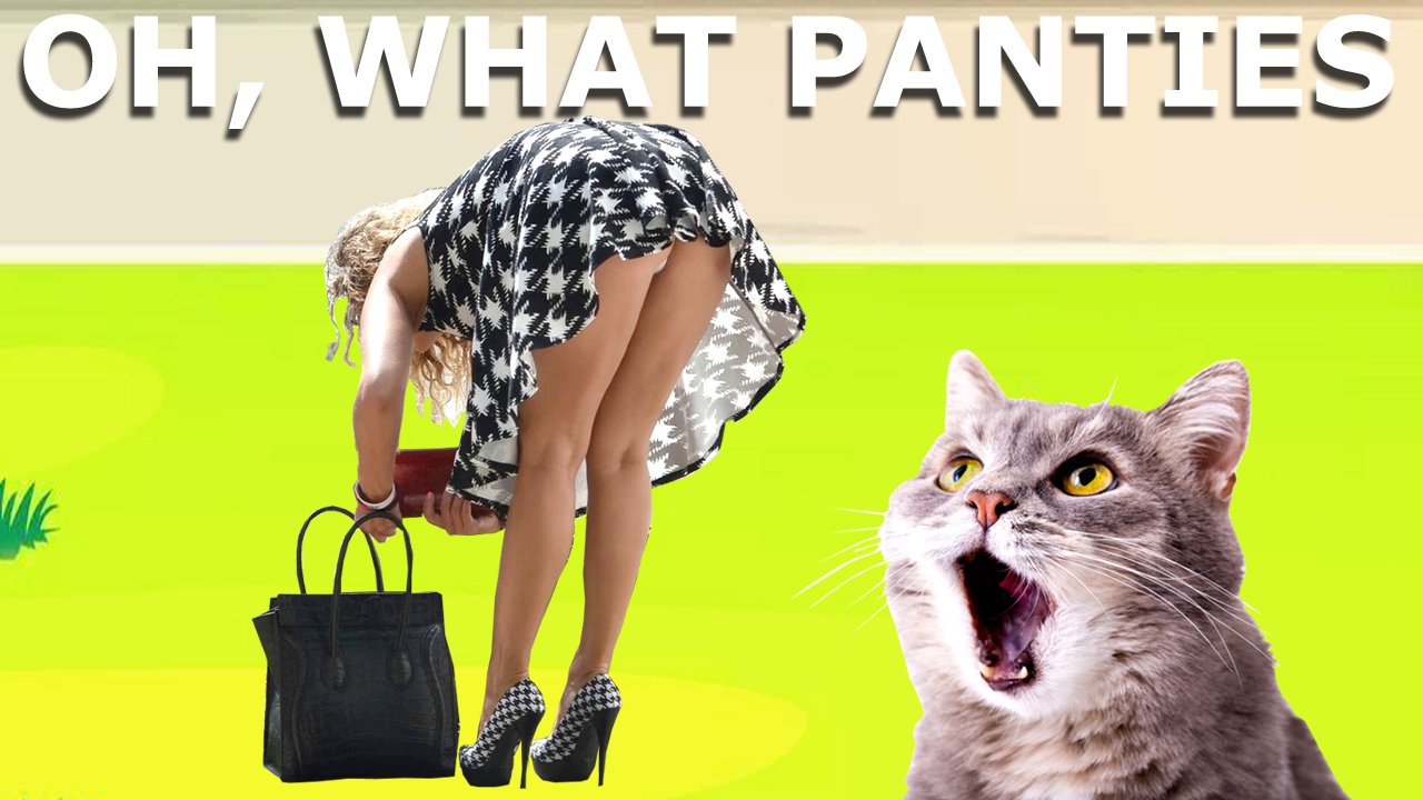 Старайтесь Не Смеяться _ Самые Смешные Видео С Кошками В Мире _ Смешные Видео С Животными.