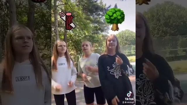 Эко-тик-ток