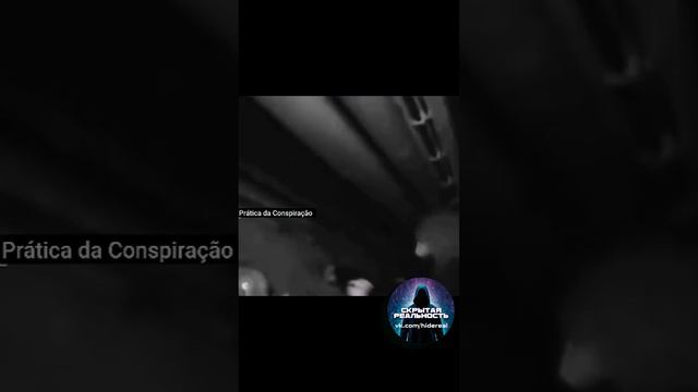 Сняли на камеру испуганного пришельца