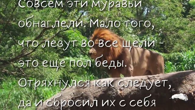 ПРИТЧИ