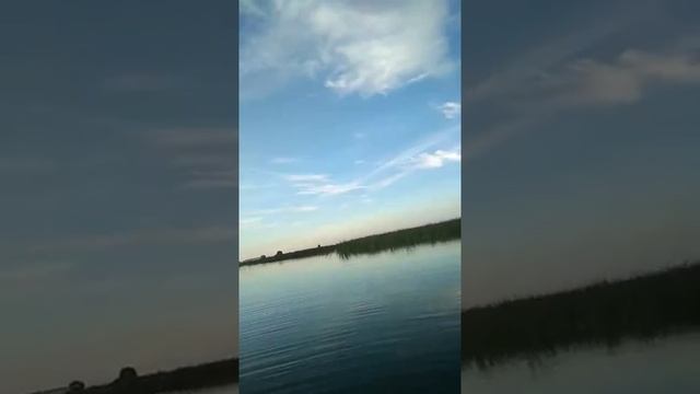 Рыбалка в Кургане по Узбекски..mp4