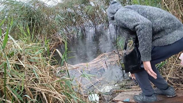 ОТец пошёл за грибами и на рыбалку