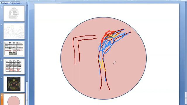 про сосуды и каналы продолжение