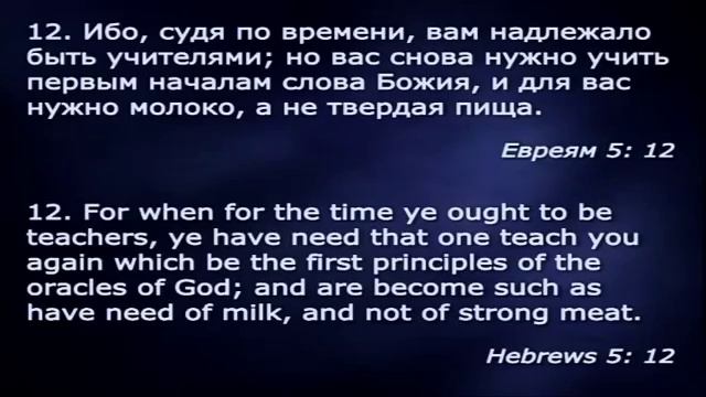 5.Виталий Олейник Мини-церкви Дети, молодёжь или родители.mp4