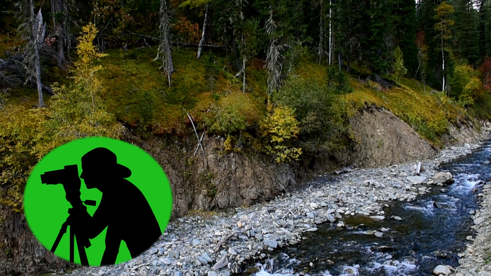 У берега быстрой реки в тайге / Звуки природы для расслабления, снятия стресса и крепкого сна