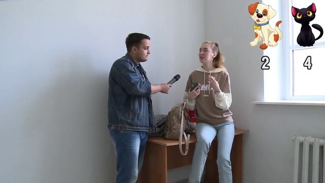 «Опрос: кошки или собаки»