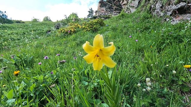 Архыз Водопад Баритовый!