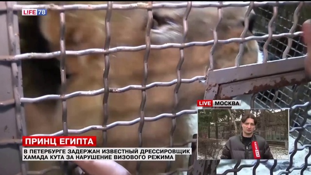 Запашный - Кроме Куты, никто не сможет работать с этими животными (2015-12-03)