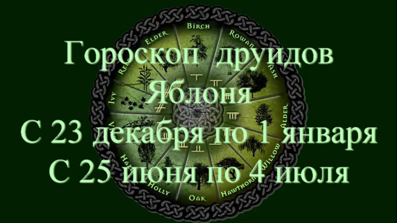 Гороскоп  Друидов. Яблоня