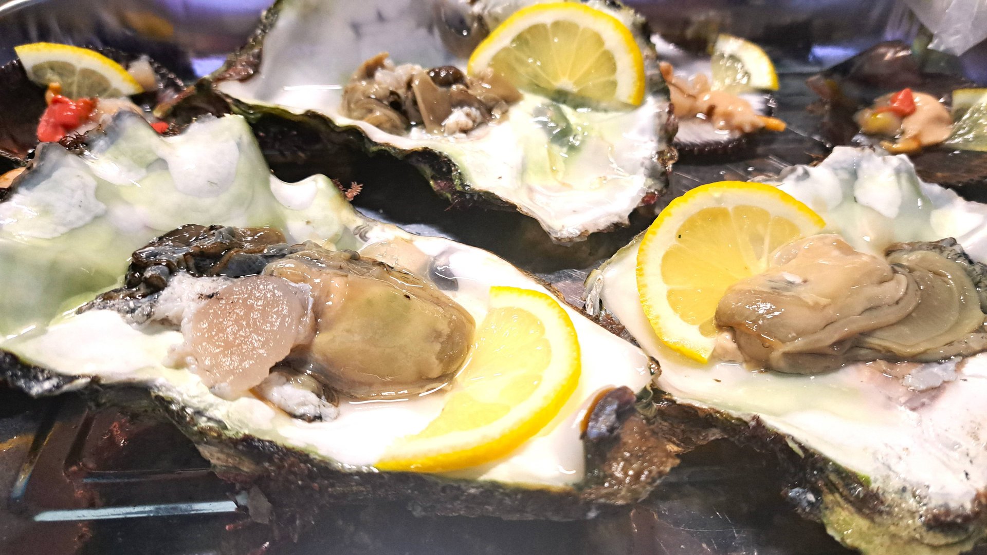 Устричный рай! Поймал и съел! (часть3)