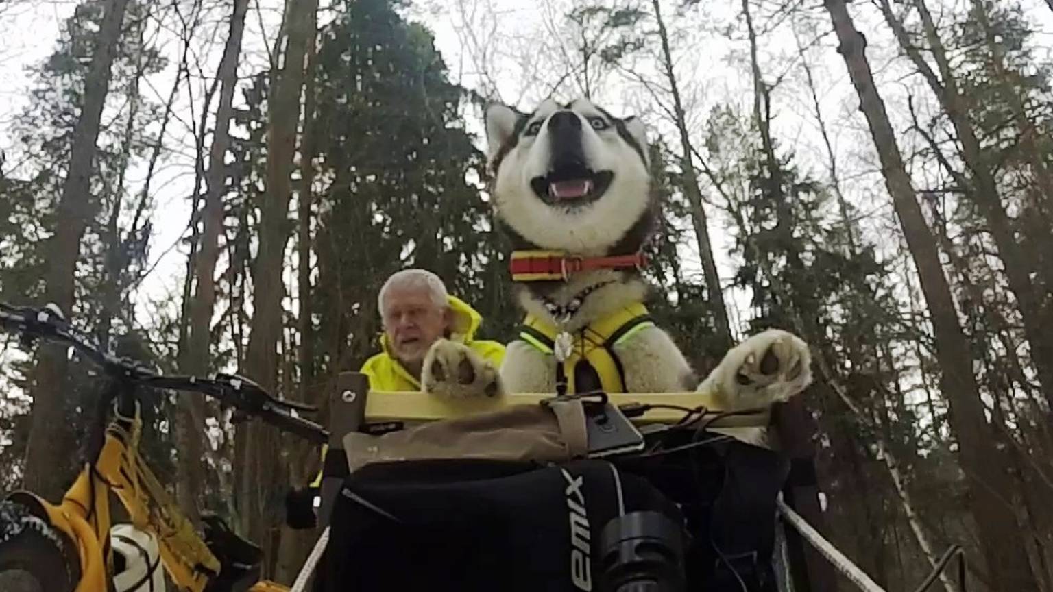 Воскресная практика, Кожухово, 16.02.20