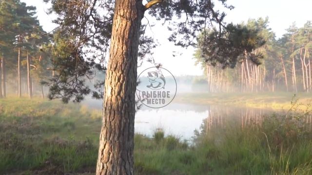 Канал Рыбное место