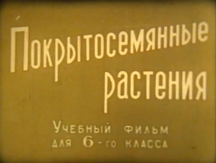 Покрытосемянные растения