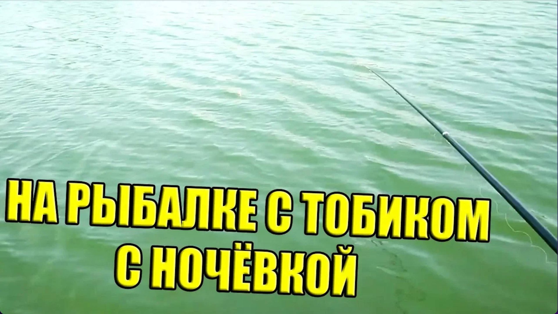 Вовка на рыбалке. 2019. Ловля раков. Рак укусил кошку за губу. Волкмикс.