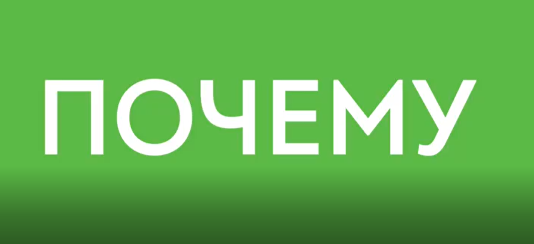 Почему  СамПРАЧКА выбирают  ипполог, коневод, наездник, жокей, тренер лошадей (берейтор)?