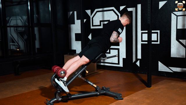 Экстензия бедра / гиперэкстензия