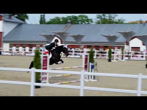 2024 Конкур, 2-я часть