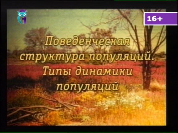 Экология популяций и сообществ. Поведенческая структура популяций. Типы динамики популяций