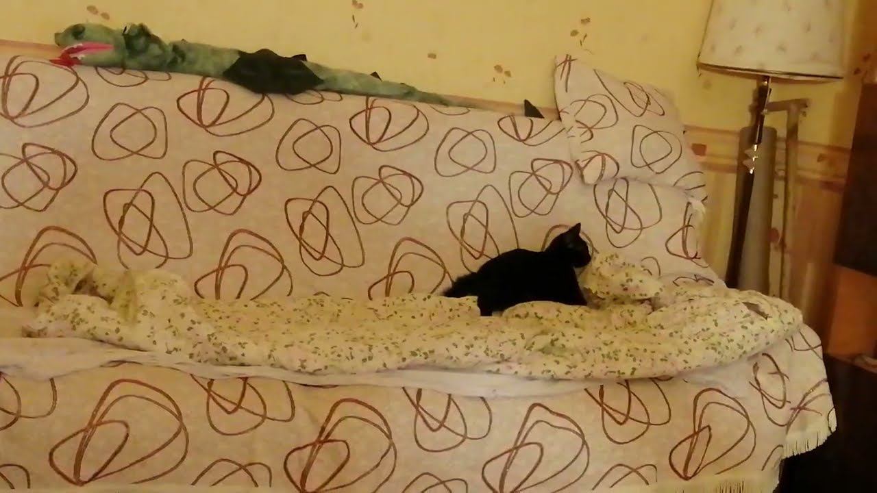 Пиксель - 11.11.2023