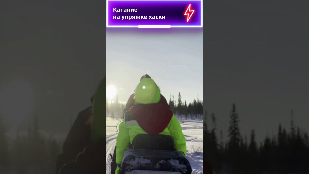 Катание на хаски и снегоходах в Мурманской области #shorts #short #shortvideo #shortsvideo #мурманск