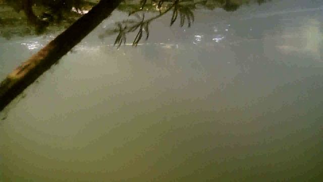 Сплав на байдарках (каяках) и САП-бордах по Тускарю Курск Август 2023 (Часть 1 - съемка под водой)