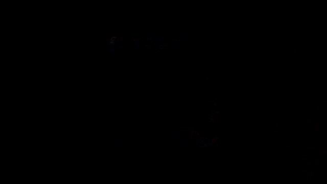 Филя и Барсик 16.11.2017