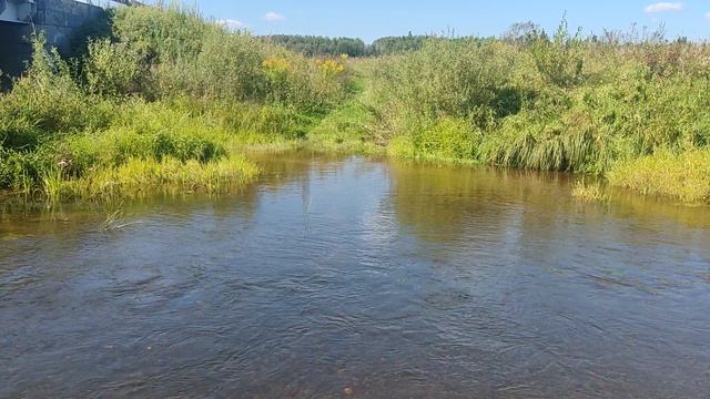 Река Улейма