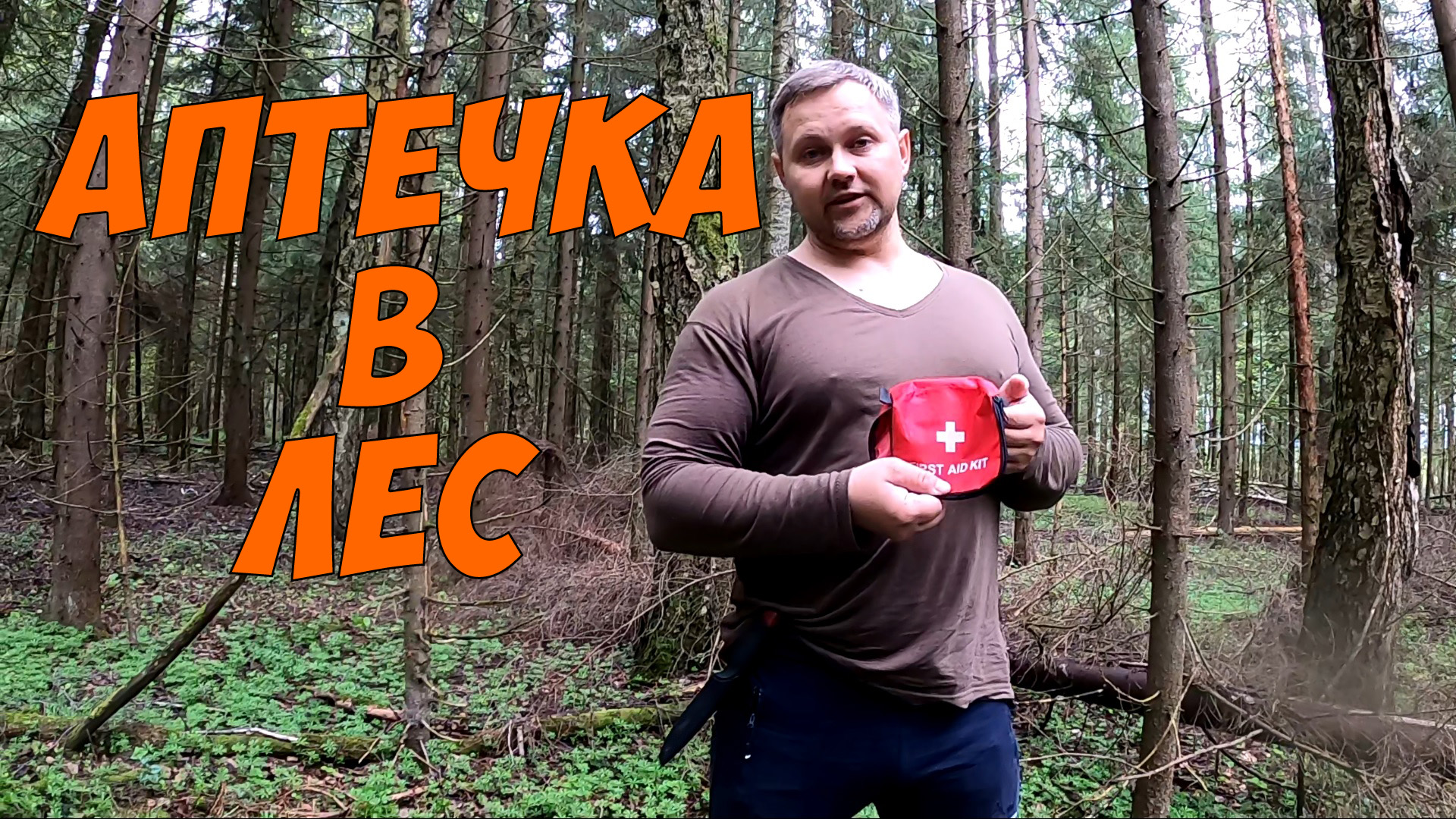 Аптечка в лес - советы и рекомендации грибникам и путешественникам