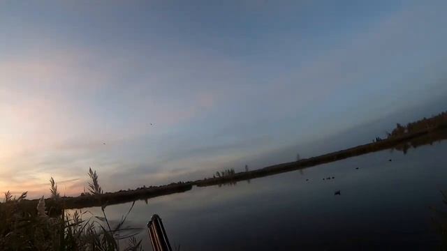 Охота на утку 2020