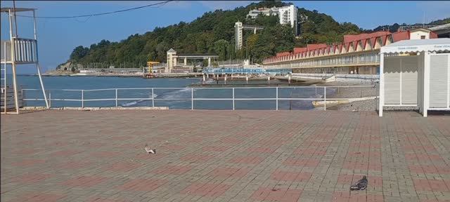 Сочи. Хоста. Часть 2. "Не нужен нам берег турецкий...". Бродилка по пляжам и скверам.