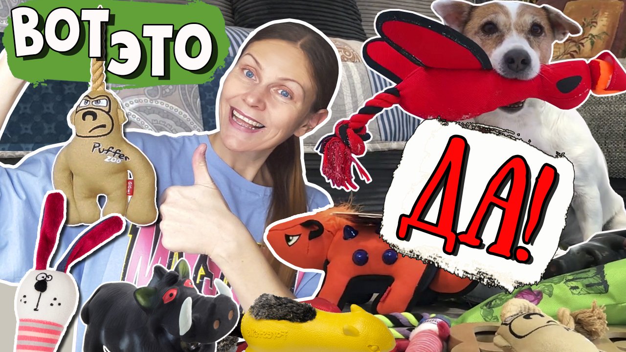 Самые КЛАССНЫЕ, ПРОЧНЫЕ и ПОЛЕЗНЫЕ игрушки для собак. Джек в восторге. TRIOL and Gigwi toys