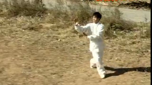 Чен ши багуа - Сборник таолу