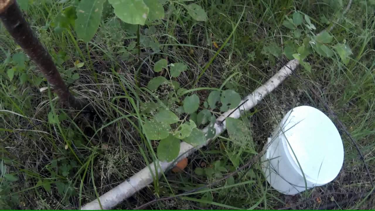 Тихая охота 2016 год