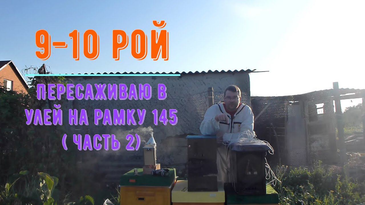 9-10 Рой пчел (часть 2)