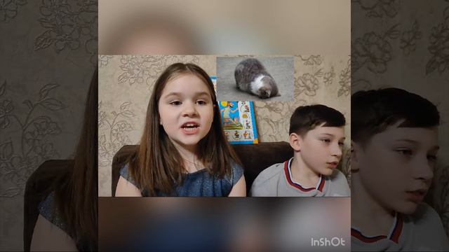 "Непочатый край": Носатые фразеологизмы