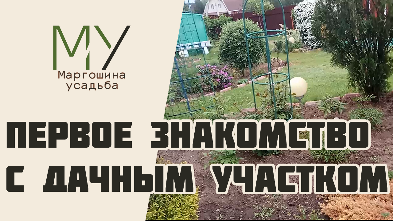 Первое знакомство с дачным участком