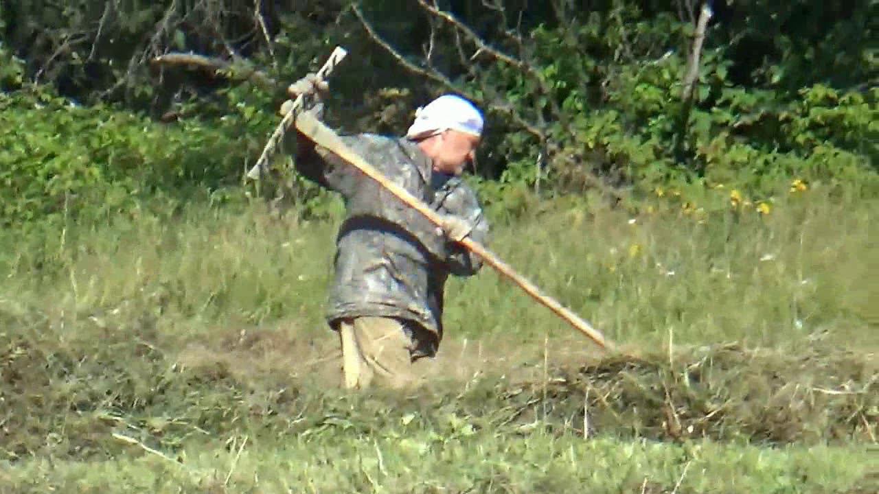 Лето 2017 \ Сенокос