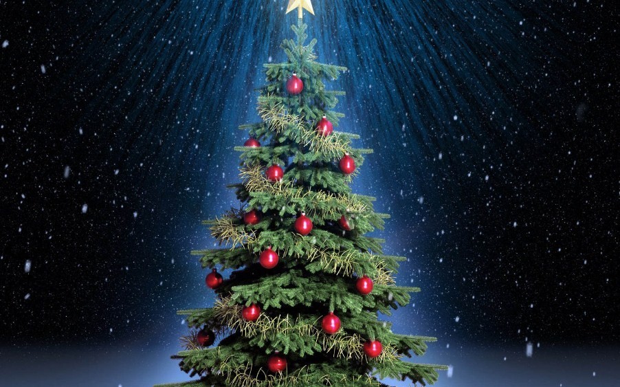 В лесу родилась елочка