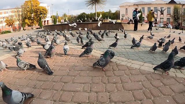 GoPro 9 съемка 240 кадров в секунду.mp4