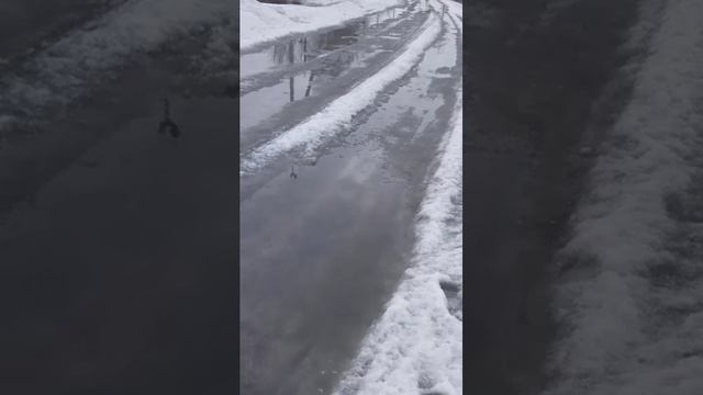 19.03.24 Новоалтайск Белоярский район 18 часов